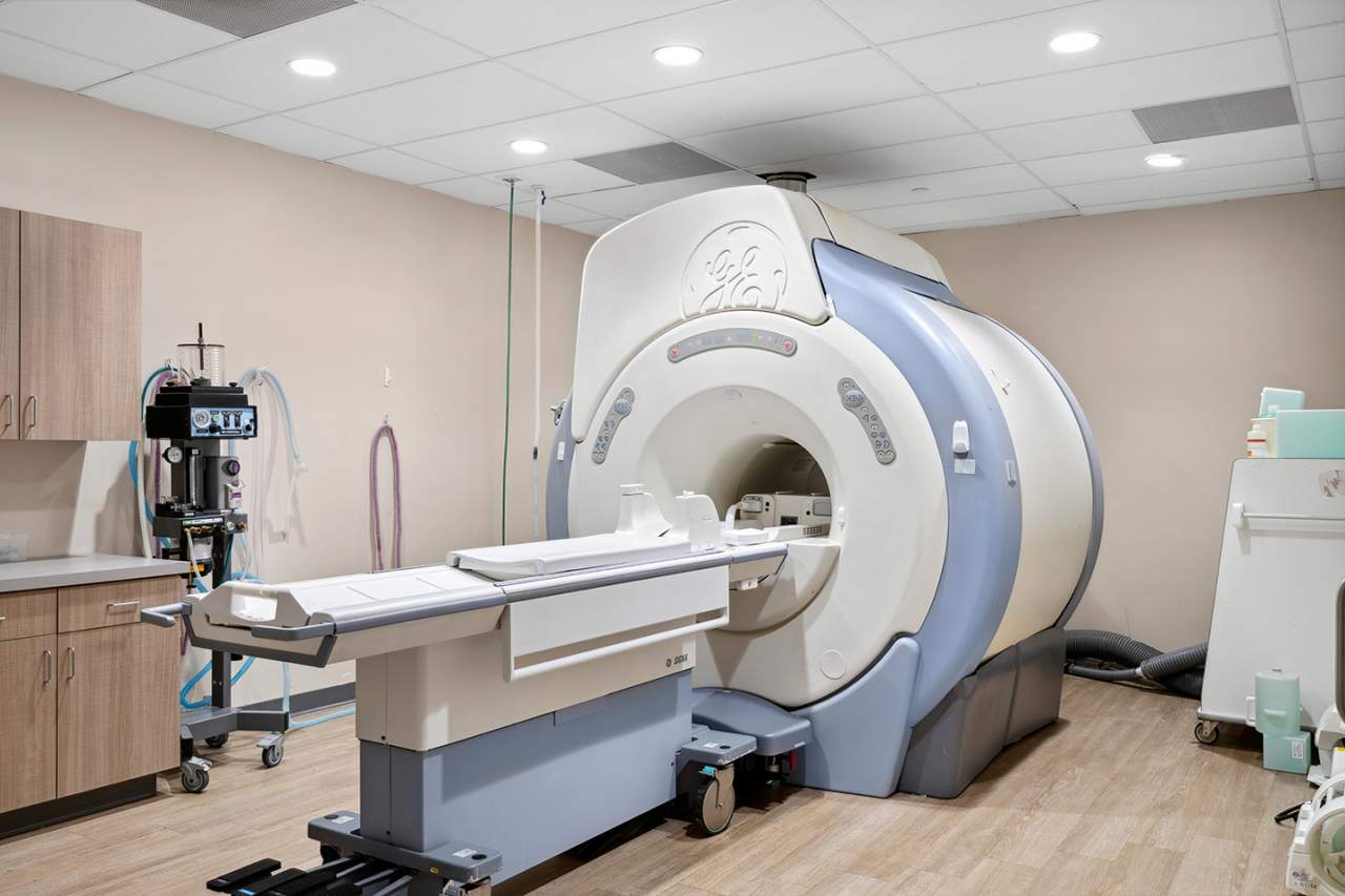 Neurological Care for Your Pet | Veterinary Neurology Center