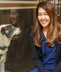 Specialists and Staff | Veterinary Neurology Center