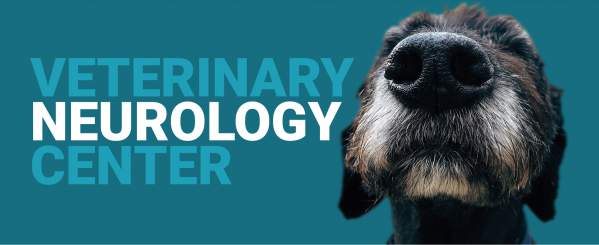 Veterinary Neurology Center | Orange County, CA